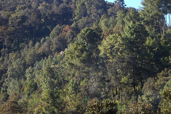 Tecpán-Guatemala | Turismo Rural Guatemala